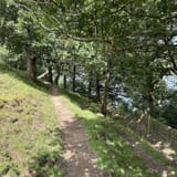 Anglezarke Reservoir, Lancashire, England - 772 Reviews, Map | AllTrails