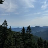 Deer Ridge Trail, Washington - 366 Reviews, Map | AllTrails