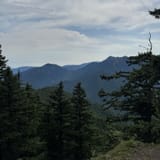 Deer Ridge Trail, Washington - 366 Reviews, Map | AllTrails
