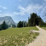 Sun Notch Trail, Oregon - 960 Reviews, Map | AllTrails