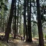 Sun Notch Trail, Oregon - 1,049 Reviews, Map | AllTrails