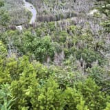 Berry Hill Trail, Newfoundland and Labrador, Canada - 135 Reviews, Map ...