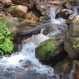 See Spring Trail, Arizona - 873 Reviews, Map | AllTrails