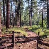 See Spring Trail, Arizona - 873 Reviews, Map | AllTrails