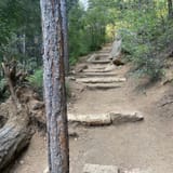 Seven Bridges Trail, Colorado - 8,187 Reviews, Map | AllTrails