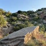 Rock Garden Trail, Texas - 1,066 Reviews, Map | AllTrails