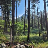 See Spring Trail, Arizona - 873 Reviews, Map | AllTrails