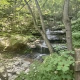 Turkey Path, Pennsylvania - 713 Reviews, Map | AllTrails