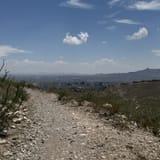Thousand Steps Trail, Texas - 1,277 Reviews, Map | AllTrails
