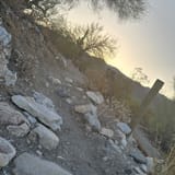 Victory Stairs from Verrado Way, Arizona - 1,521 Reviews, Map | AllTrails