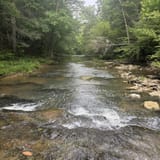 Window Cliffs Trail, Tennessee - 1,563 Reviews, Map | AllTrails