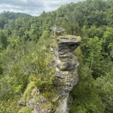 Window Cliffs Trail, Tennessee - 1,563 Reviews, Map | AllTrails