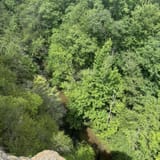 Window Cliffs Trail, Tennessee - 1,563 Reviews, Map | AllTrails