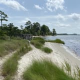 Cape Henry Trail, Virginia - 546 Reviews, Map | AllTrails