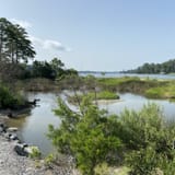 Cape Henry Trail, Virginia - 546 Reviews, Map | AllTrails
