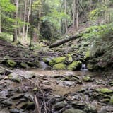 Stevens Glen Trail, Massachusetts - 402 Reviews, Map | AllTrails