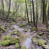Stevens Glen Trail, Massachusetts - 402 Reviews, Map | AllTrails