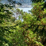 Marine View Park Loop Trail, Washington - 540 Reviews, Map | AllTrails