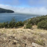 Washington Park Loop Road, Washington - 1,903 Reviews, Map | AllTrails