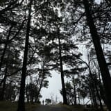 Washington Park Loop Road, Washington - 1,903 Reviews, Map | AllTrails