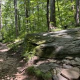 Daniel Ridge Loop, North Carolina - 2,143 Reviews, Map | AllTrails