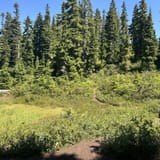 Mount Albert Edward, British Columbia, Canada - 547 Reviews, Map ...