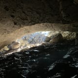 Buggytop Trail to Lost Cove Cave, Tennessee - 773 Reviews, Map | AllTrails