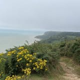 Saxon Shore Way: Hastings to Rye, East Sussex, England - 329 Reviews ...