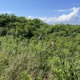 Sachuest Point National Wildlife Refuge Trail, Rhode Island - 2,054 ...