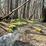 Little Lougheed, Alberta, Canada - 2,170 Reviews, Map | AllTrails