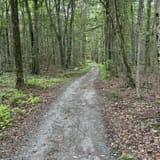 Tobyhanna State Park Lakeside Loop Trail, Pennsylvania - 1,484 Reviews ...
