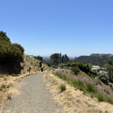 Getty View Trail, California - 904 Reviews, Map | AllTrails