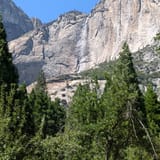 Sentinel Meadow Cook's Meadow Loop Trail, California - 3,712 Reviews ...