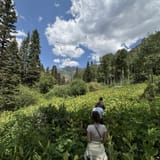 Bear Creek and Town Park Loop, Colorado - 438 Reviews, Map | AllTrails