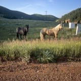 Raspberry Mountain Trail via Ring the Peak Trail, Colorado - 2,051 ...