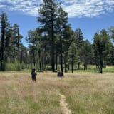 Rim Lakes Vista and Old Rim Road Loop, Arizona - 294 Reviews, Map ...