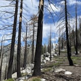 Ralston Peak, California - 1,670 Reviews, Map | AllTrails