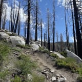Ralston Peak, California - 1,670 Reviews, Map | AllTrails
