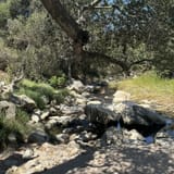 Lake Hodges Overlook Trail, California - 3,168 Reviews, Map | AllTrails