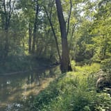 Paul Ruster Trail, Indiana - 218 Reviews, Map | AllTrails