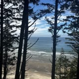 Cape Falcon Trail, Oregon - 4,224 Reviews, Map | AllTrails