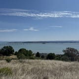 Ring Mountain via Loop and Phyllis Ellman Trail, California - 1,173 ...