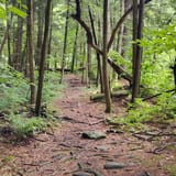 North Rim and South Rim Red Trail Loop, New York - 1,508 Reviews, Map ...