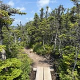 Skerwink Trail, Newfoundland and Labrador, Canada - 1,668 Reviews, Map ...