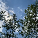 Nugget Falls Trail, Alaska - 1,566 Reviews, Map | AllTrails