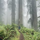 Berry Glen and Lady Bird Grove Trail , California - 564 Reviews, Map ...