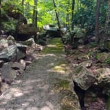 Gee Creek Falls Trail, Tennessee - 806 Reviews, Map | AllTrails
