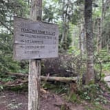 Mount Liberty via Liberty Spring Trail, New Hampshire - 1,563 Reviews ...