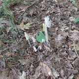 Crahen Valley Park Loop, Michigan - 1,805 Reviews, Map | AllTrails