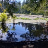 Lord Hill, Main Trail, and Temple Pond Loop Trail, Washington - 1,456 ...